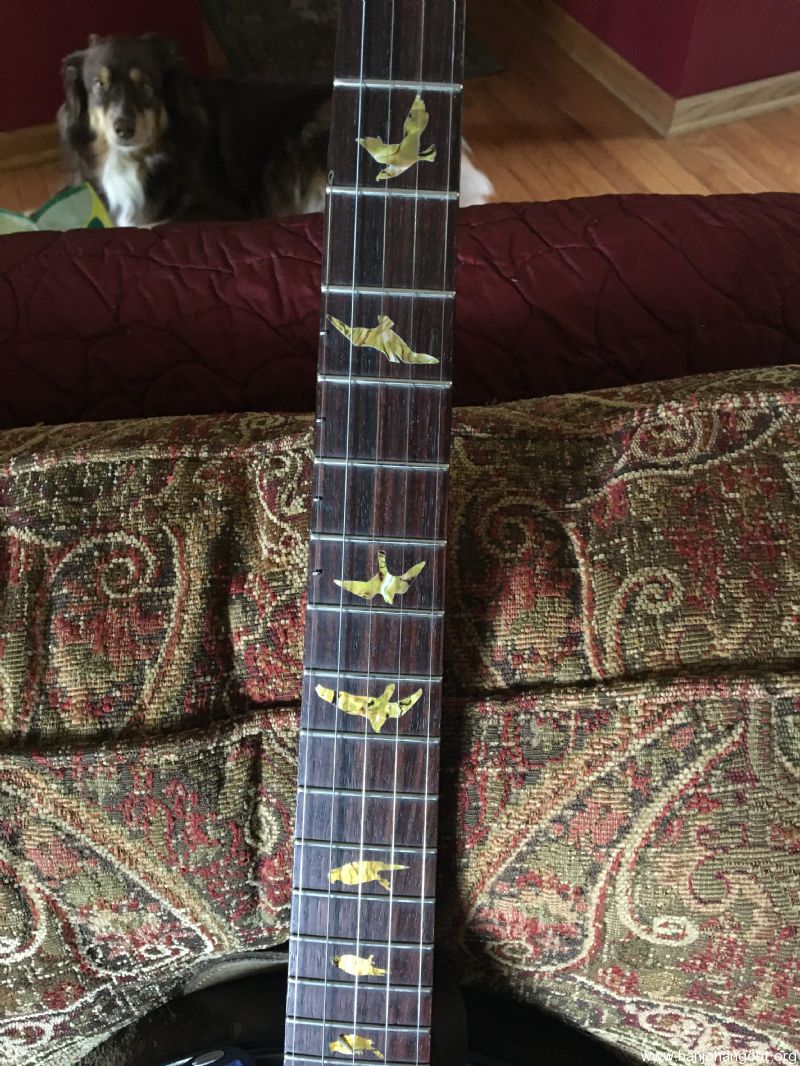 Trade pending Stealth banjo for sale or trade - Used Banjo For Sale at ...
