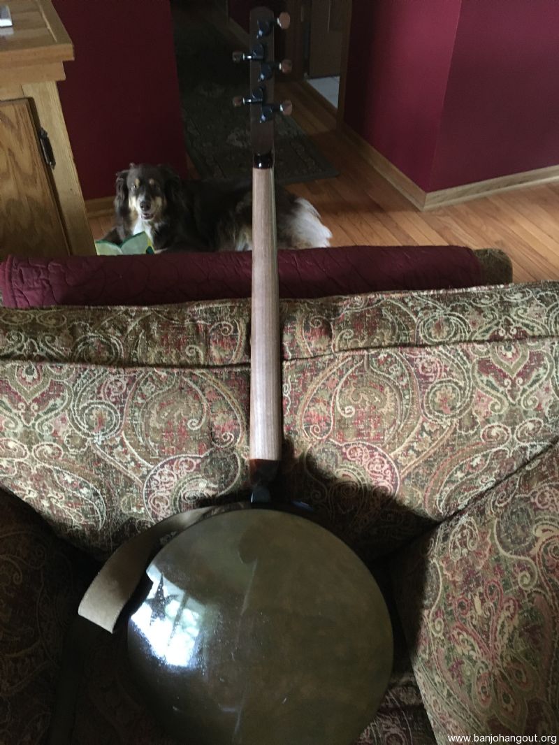 Trade pending Stealth banjo for sale or trade - Used Banjo For Sale at ...