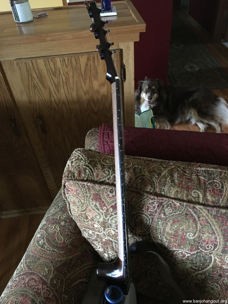 Trade pending Stealth banjo for sale or trade - Used Banjo For Sale at ...