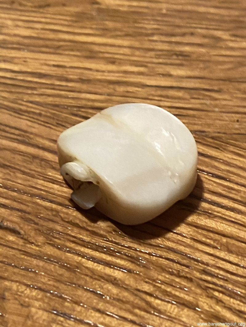 SOLD: Five Genuine Mother of Pearl Tuner Buttons - Banjo Hangout