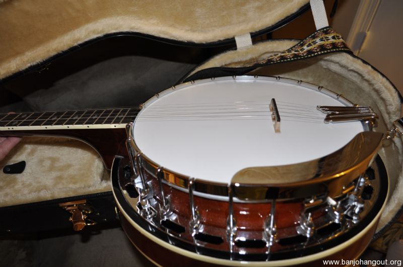 Alvarez Banjo 4280 For Sale - Used Banjo For Sale at BanjoBuyer.com