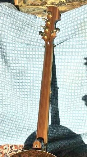Nechville Nuvo Custom - Reduced to $3800 - Used Banjo For Sale at ...