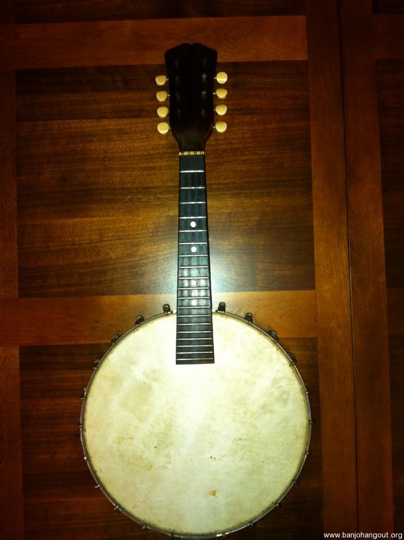 Vega Fairbanks Style K Banjo Mandolin - Used Banjo For Sale at ...