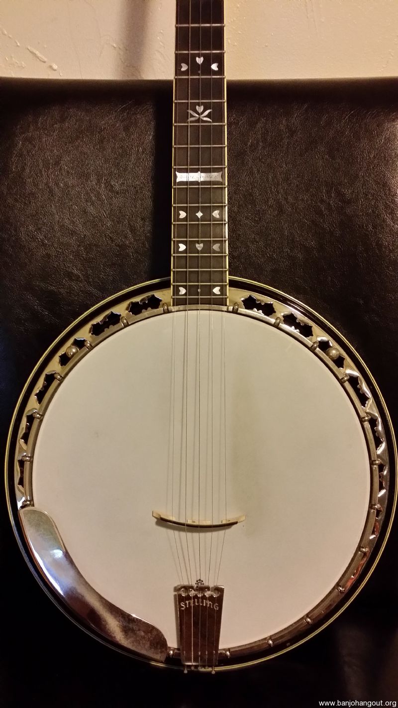 1984 Stelling Sunflower - Used Banjo For Sale at BanjoBuyer.com