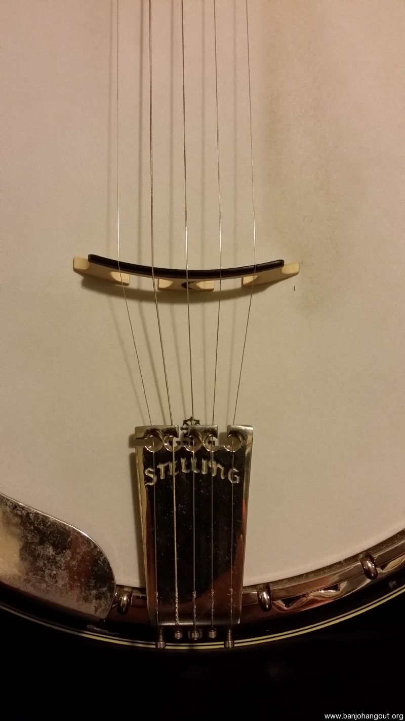 1984 Stelling Sunflower - Used Banjo For Sale at BanjoBuyer.com