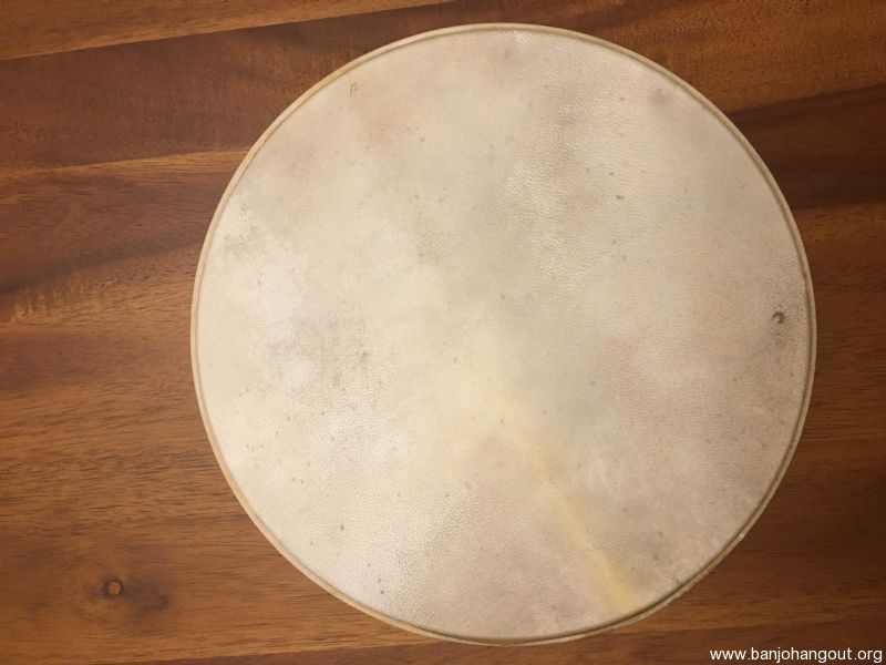 SOLD: John Balch Pre-mounted 11" Goat Skin Head - Banjo Hangout