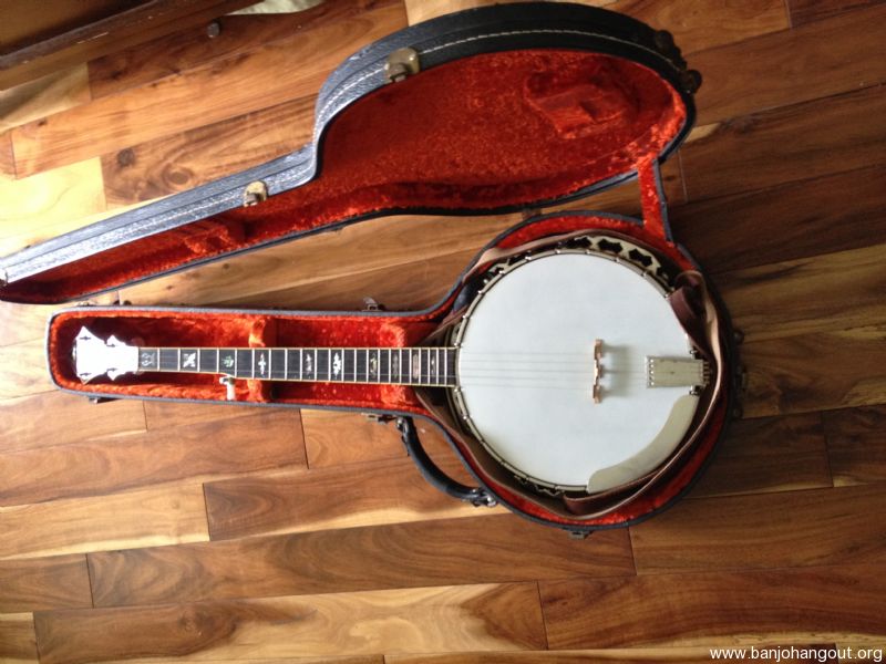 Stelling Staghorn 1976 - Used Banjo For Sale at BanjoBuyer.com