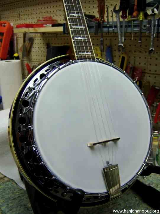 Fender Artist (California-made, 60's/70's) - Used Banjo For Sale at ...