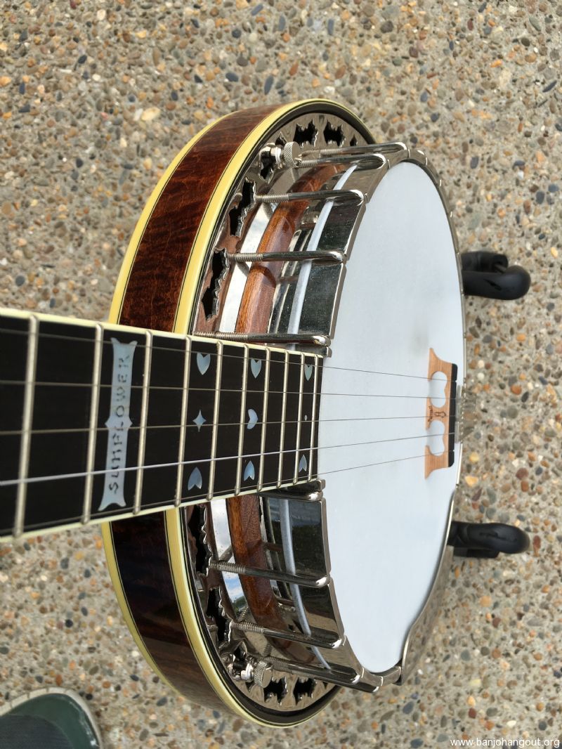 2006 Stelling Sunflower (REDUCED) - Used Banjo For Sale at BanjoBuyer.com