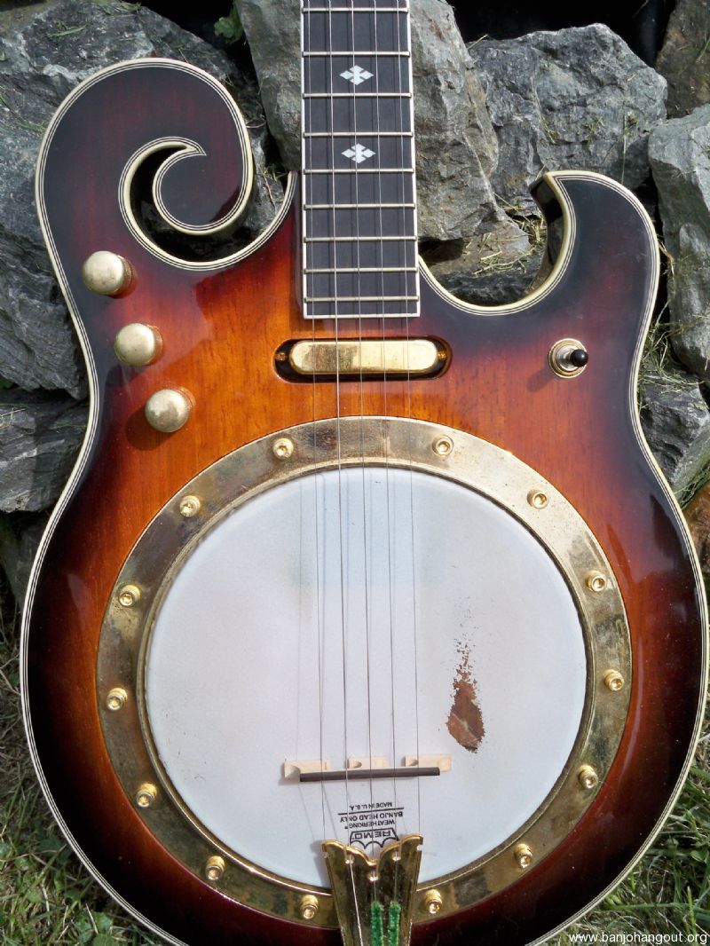 Goldtone EBM Electric Banjo- marked down for the last time! - Used ...