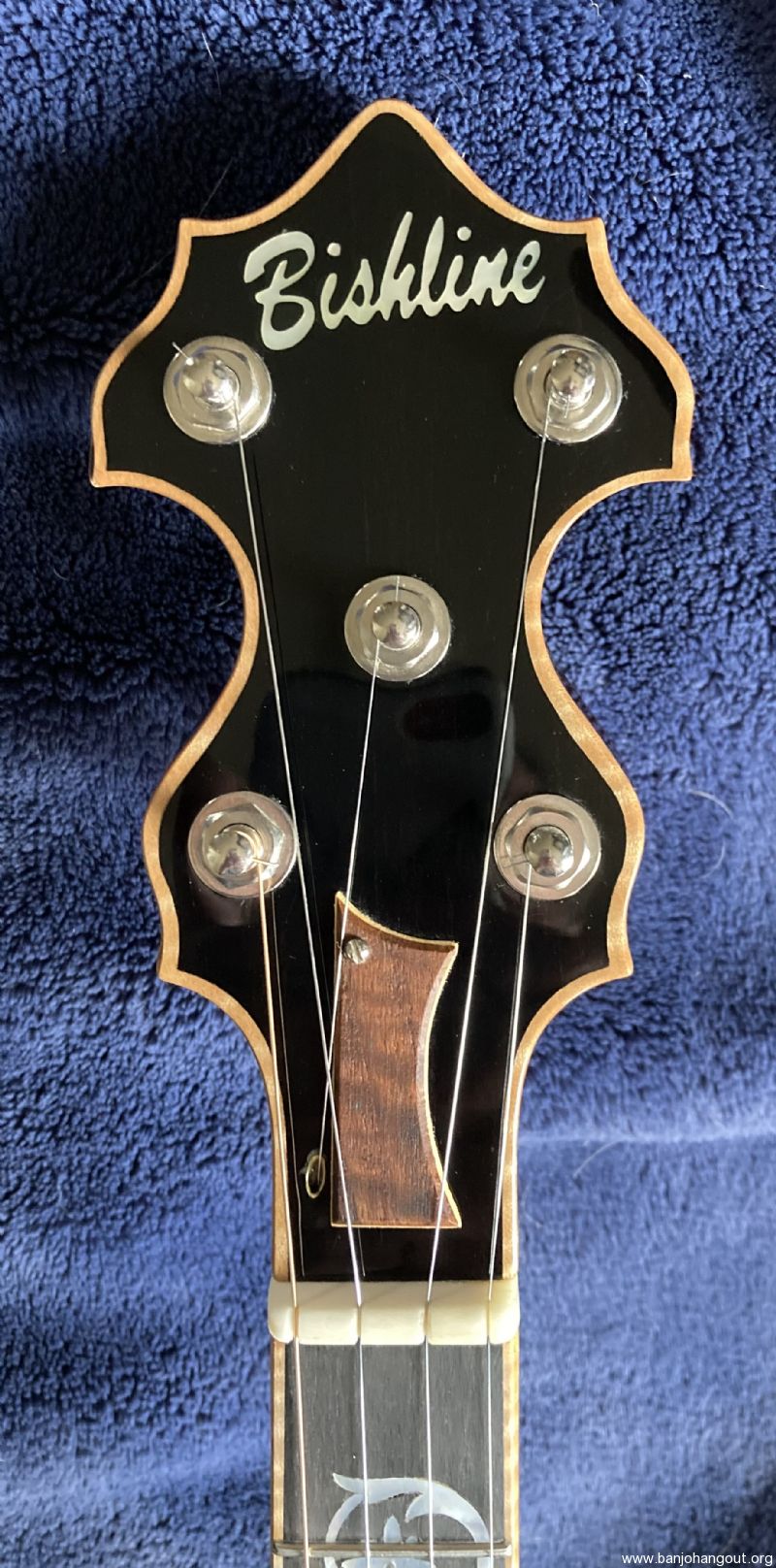 For Sale - Bishline Custom tunneled 5-string