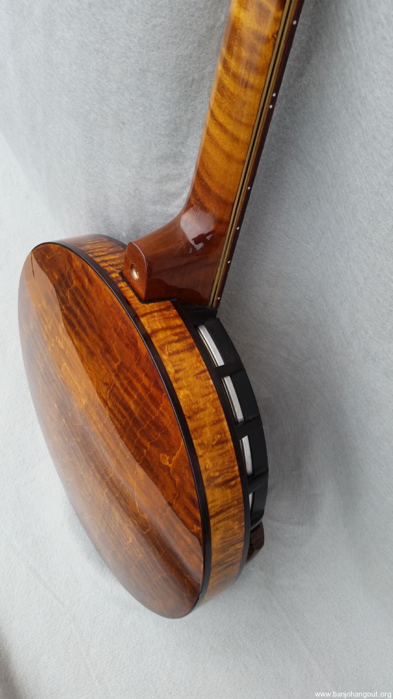 Nechville "Scepter" Nuvo w/ Built-in Capo - Used Banjo For Sale at ...