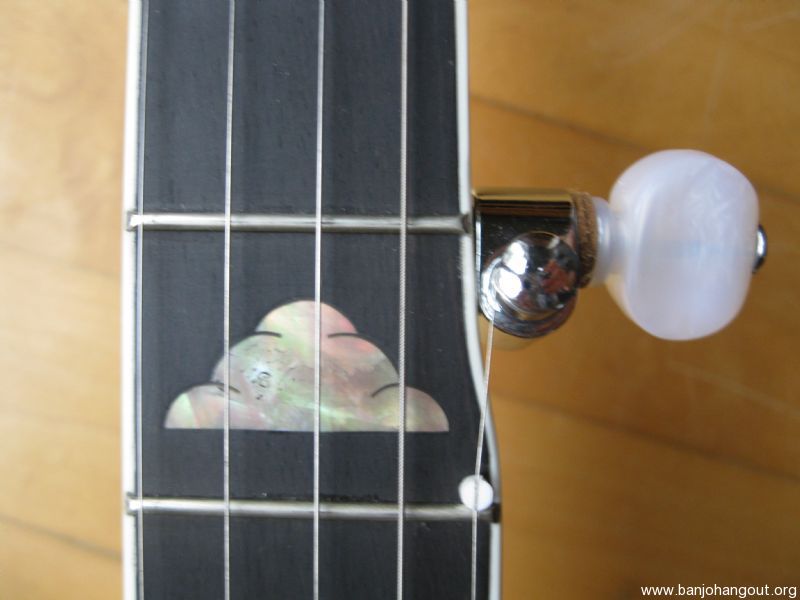 Gold Tone White Ladye 250 Banjo - LEFTY - Used Banjo For Sale at ...