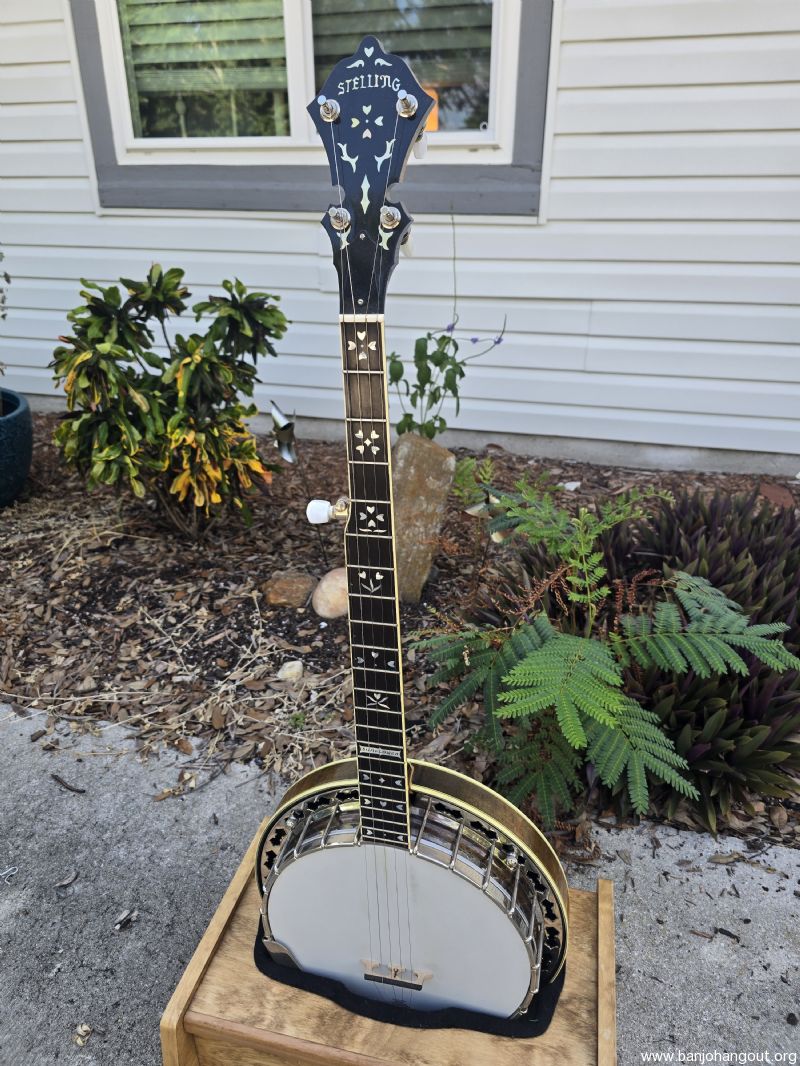 1991 Stelling Sunflower banjo - Banjo Hangout
