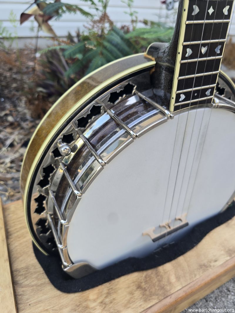 1991 Stelling Sunflower banjo - Banjo Hangout