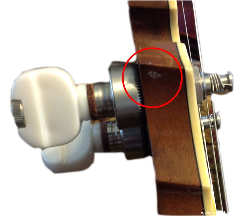 Stelling Master's Cross Standard - Used Banjo For Sale at BanjoBuyer.com