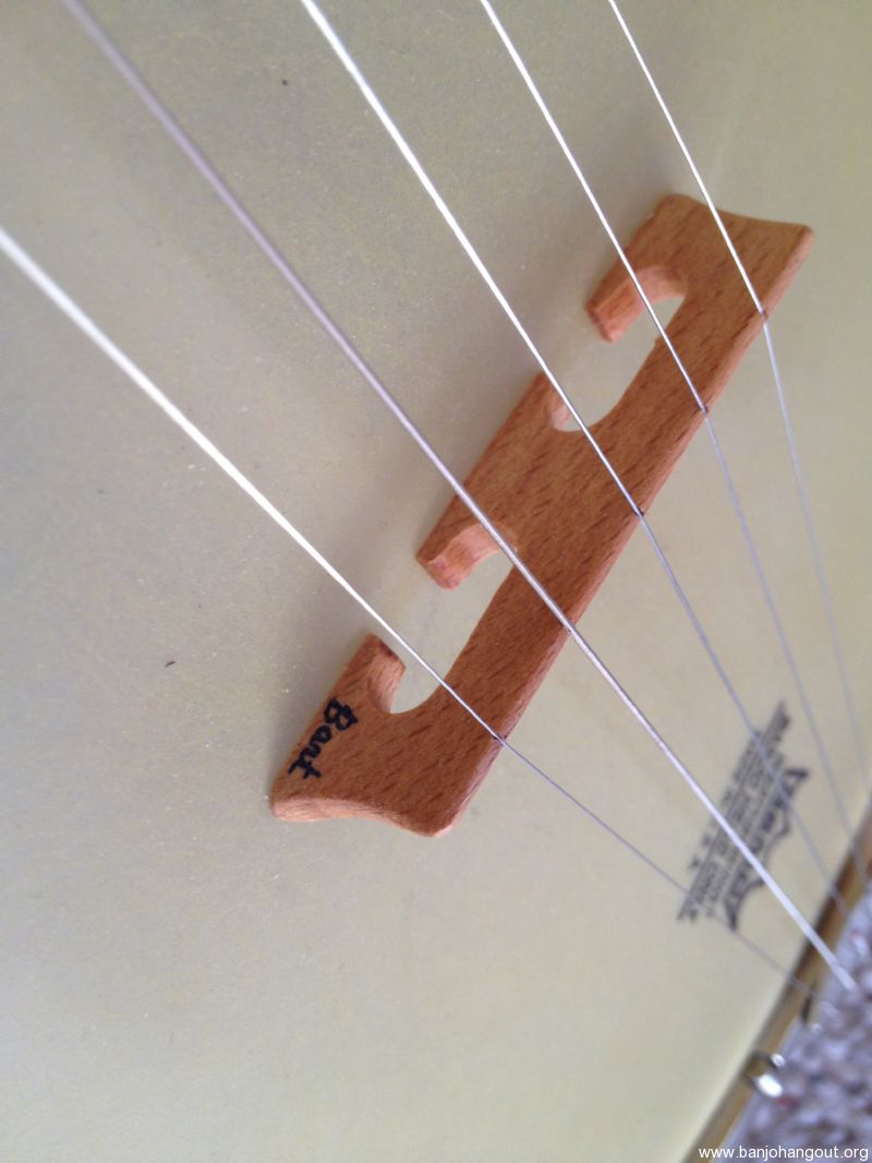 Gold Tone Graphite Neck Openback Prototype Banjo - Used Banjo For Sale ...