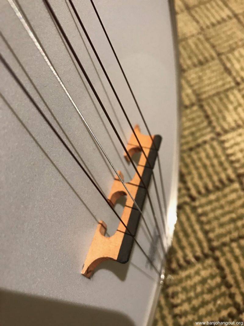 Saga SS10P Pony Travel Banjo w/gig bag - Used Banjo For Sale at ...