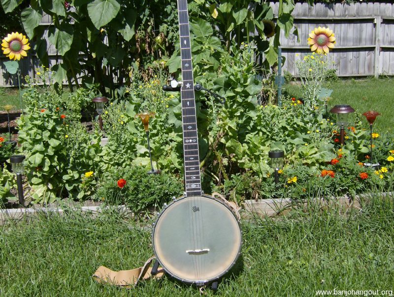 Custom-made longneck banjo - Used Banjo For Sale at BanjoBuyer.com
