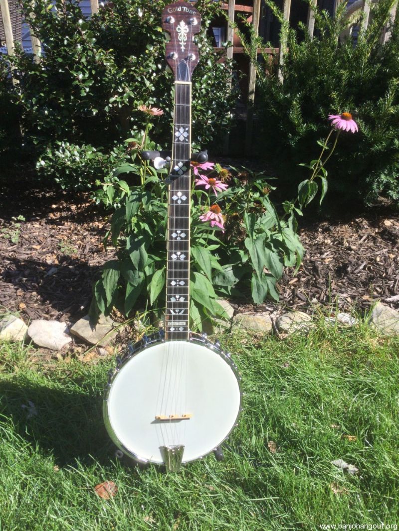 Gold Tone OT-10 Openback - Used Banjo For Sale at BanjoBuyer.com