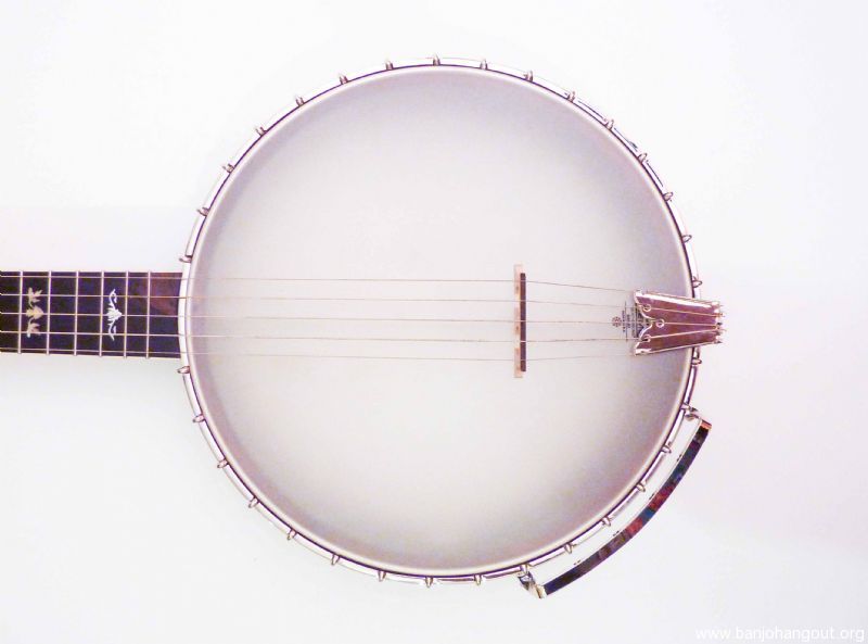 PRICE REDUCED!! GOLD TONE 5 STRING CELLO BANJO CEB-5 - MINT CONDITION ...