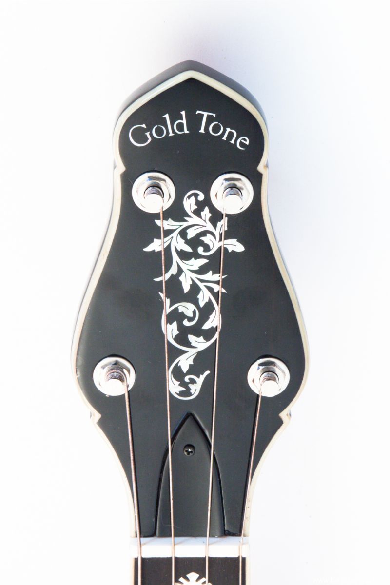 REDUCED! Gold Tone CEB-5 5 String Cello Banjo with lifted neck - Used ...