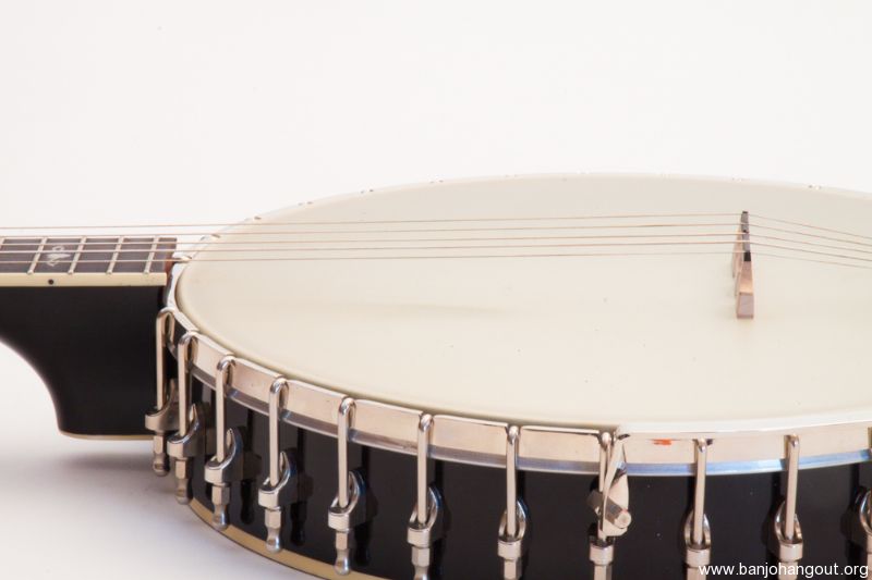 REDUCED! Gold Tone CEB-5 5 String Cello Banjo with lifted neck - Used ...