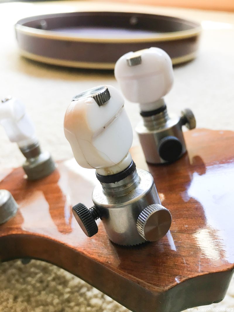 Rich and Taylor Terry Baucom model (#20) with Keith D-Tuners - Used ...