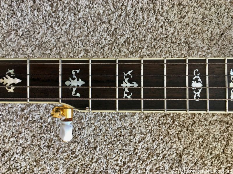 GOLD TONE 5 STRING CELLO BANJO (CEB-5) - GOLD FINISH! - OHSC+GIG BAG -L ...