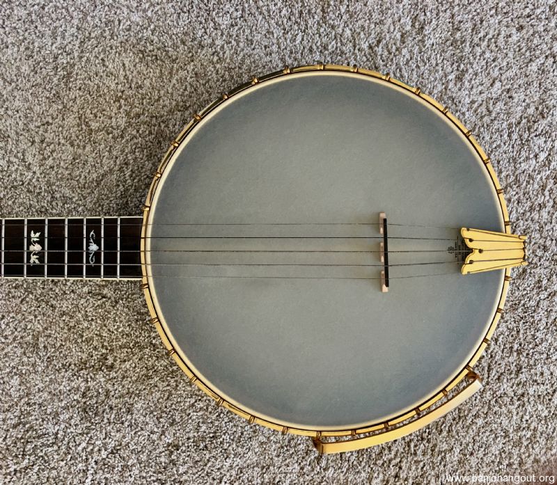 GOLD TONE 5 STRING CELLO BANJO (CEB-5) - GOLD FINISH! - OHSC+GIG BAG -L ...