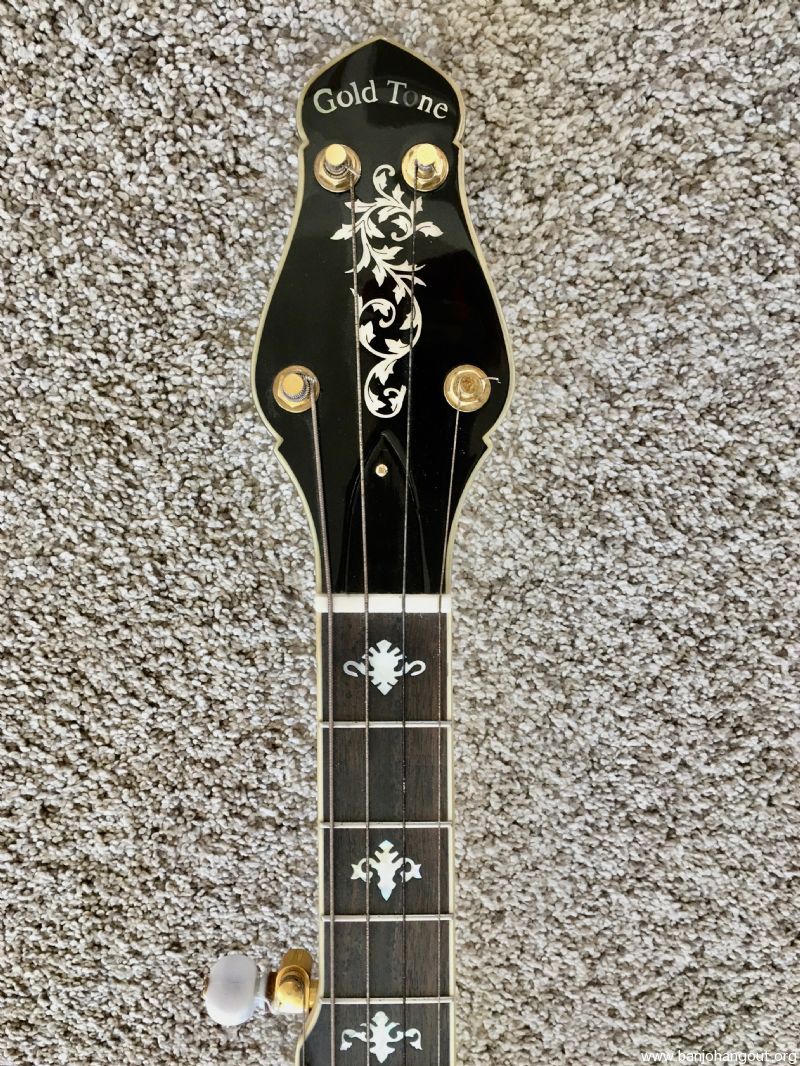 GOLD TONE 5 STRING CELLO BANJO (CEB-5) - GOLD FINISH! - OHSC+GIG BAG -L ...