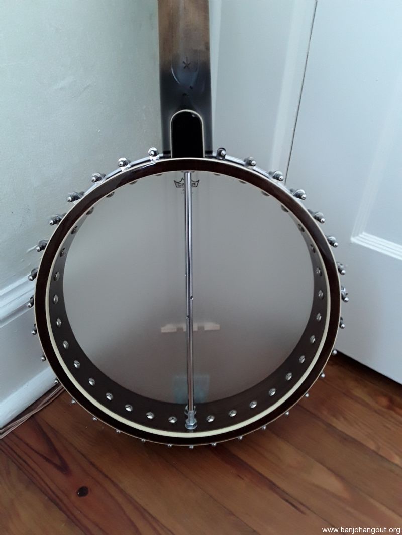 Gold Tone 5 String Cello Banjo - Used Banjo For Sale at BanjoBuyer.com
