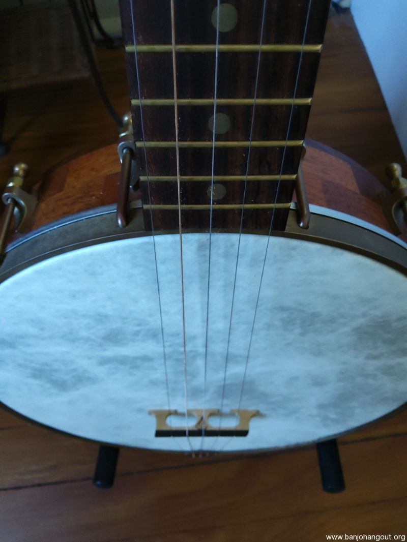 Zach Hoyt Mahogany "A" scale - Used Banjo For Sale at BanjoBuyer.com