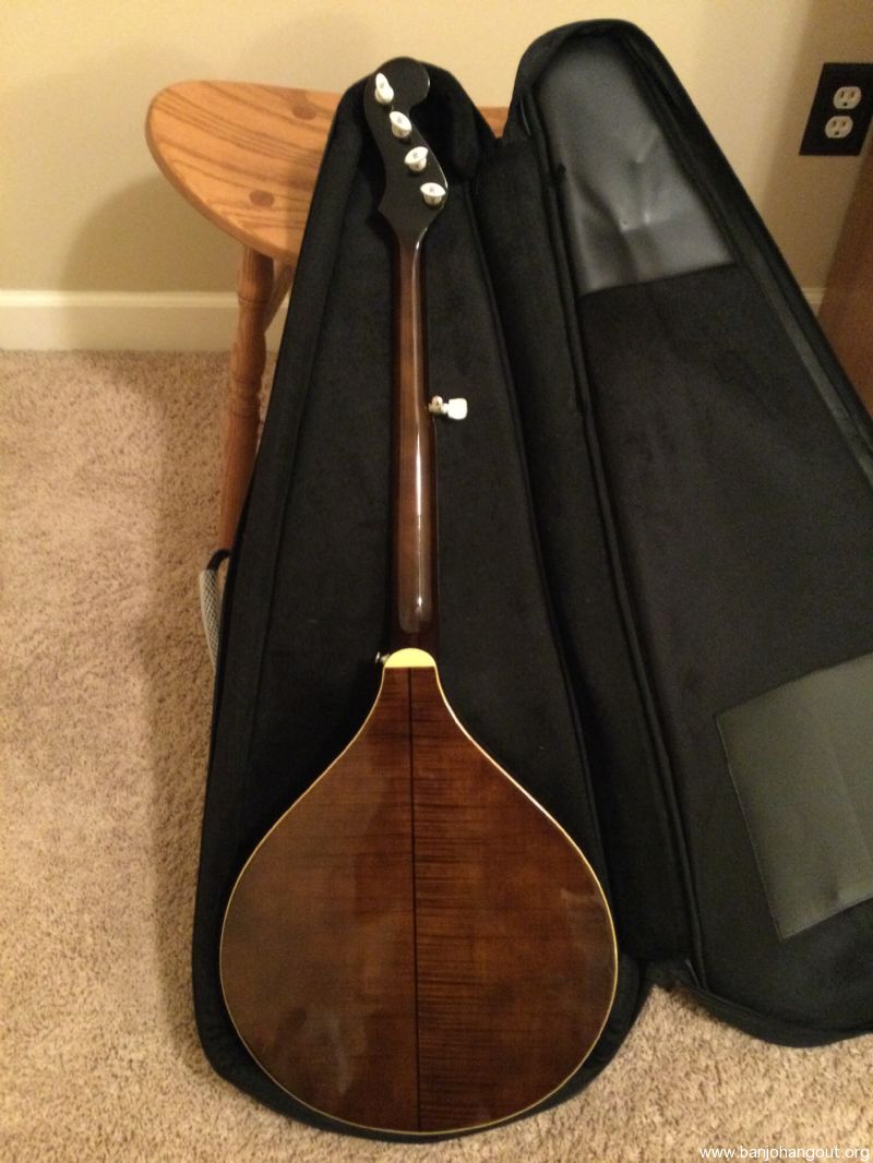 Gold Tone Banjola - Used Banjo For Sale at BanjoBuyer.com