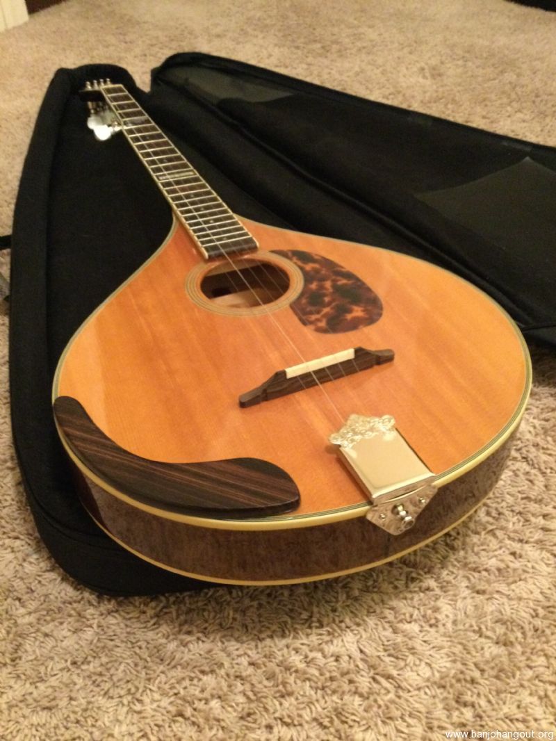 Gold Tone Banjola - Used Banjo For Sale from Banjo Vault