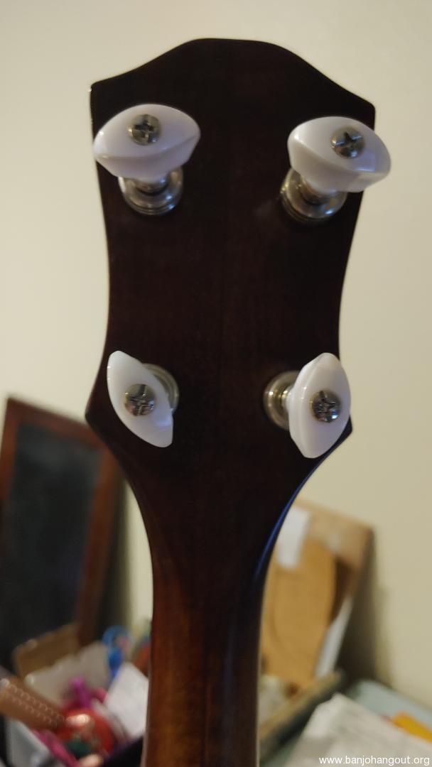 Plectrum Vega - Banjo Hangout