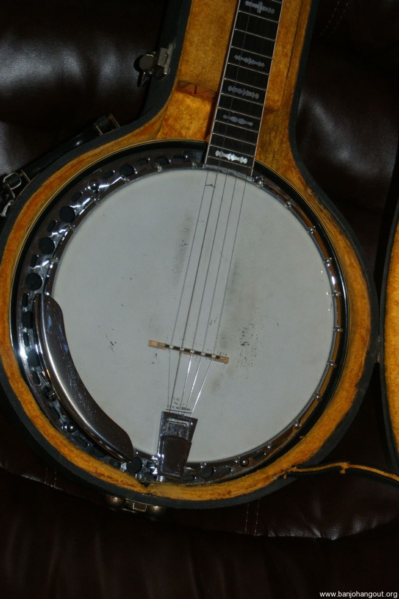 fender artist - Used Banjo For Sale at BanjoBuyer.com