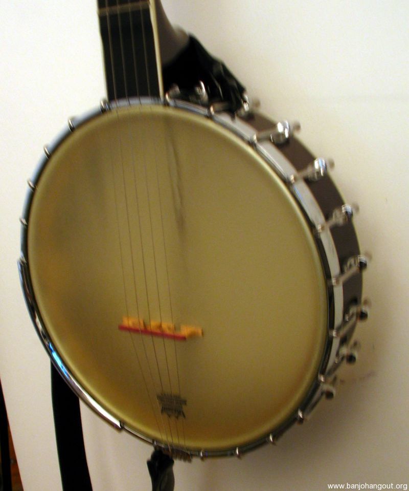 Gold Tone White Ladye 250 - Used Banjo For Sale at BanjoBuyer.com