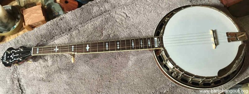 Gold Star Banjo GF100-JD - New! - Used Banjo For Sale at BanjoBuyer.com