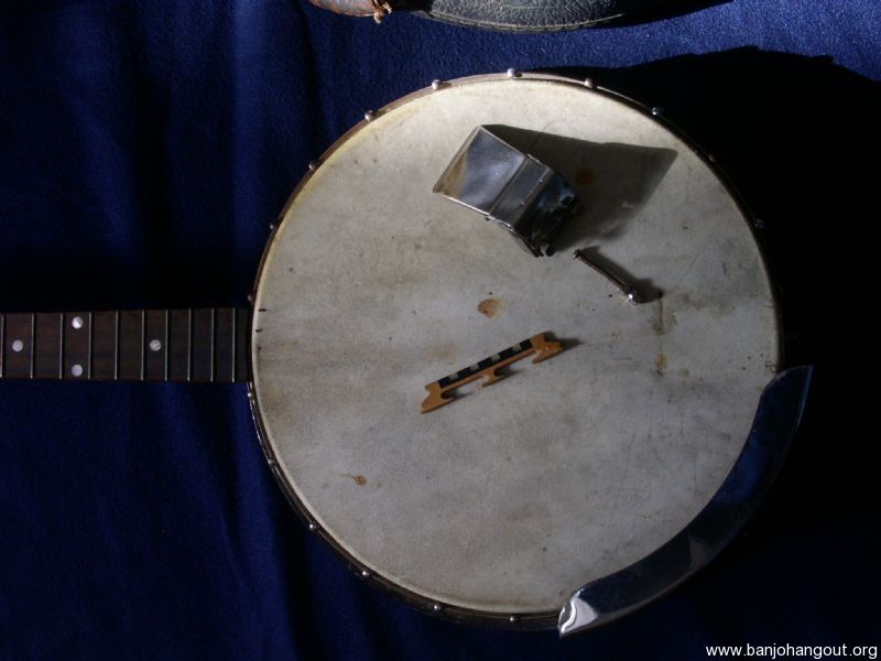 Old Oriole Tenor Banjo - Used Banjo For Sale at BanjoBuyer.com