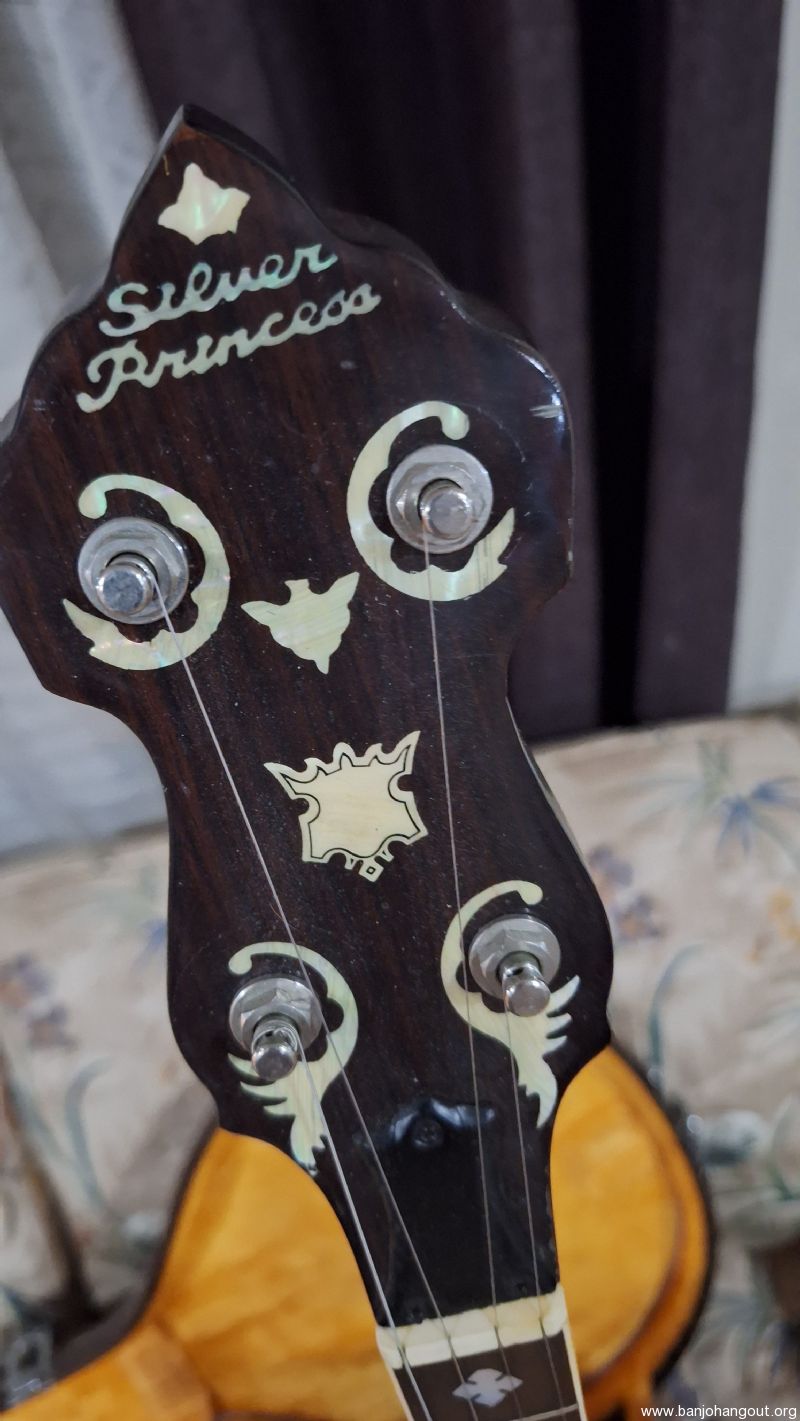 Alvarez Silver Princess - Banjo Hangout
