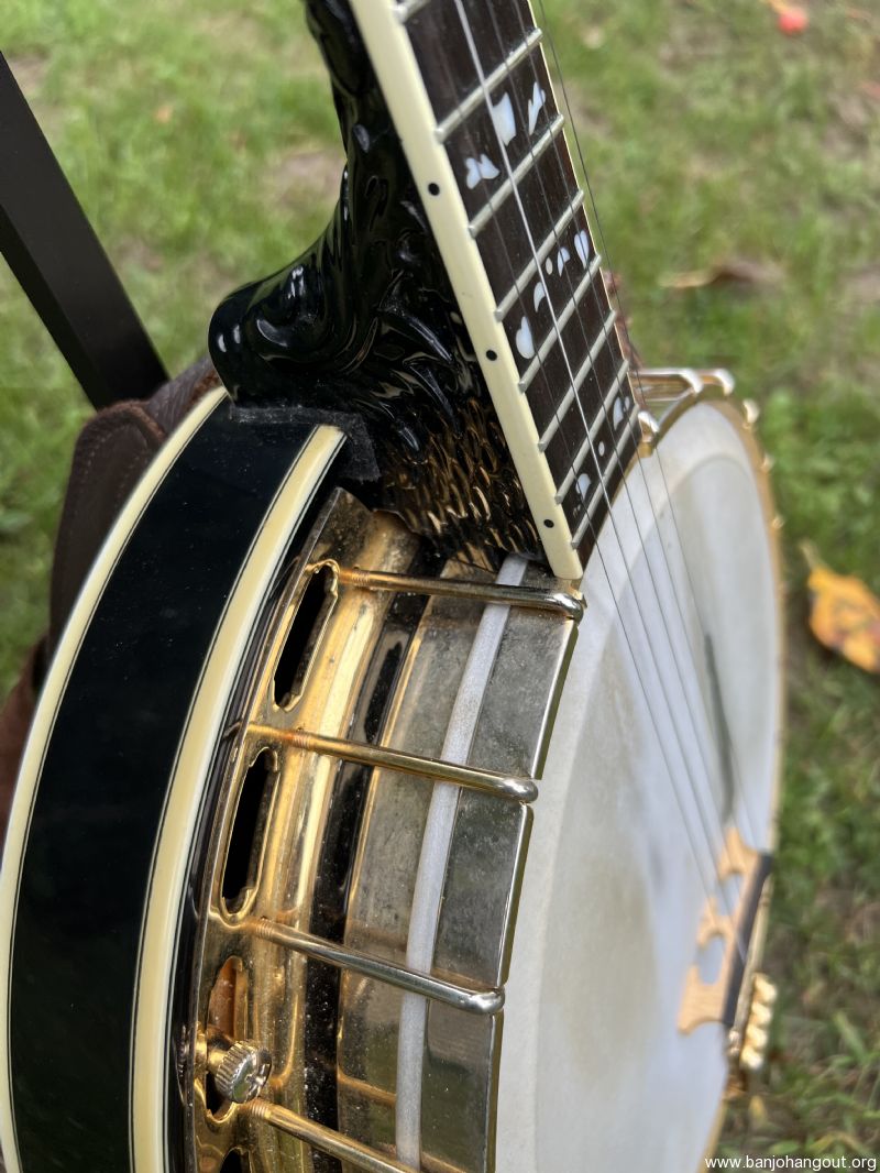 Morgan Monroe Rocky Top - Used Banjo For Sale at BanjoBuyer.com