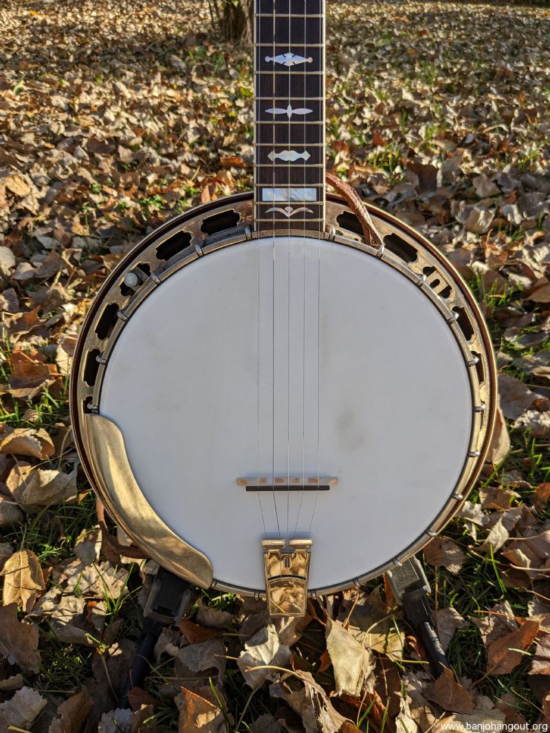 2003 Gold Star GF-85 #3 of 100 - Used Banjo For Sale at BanjoBuyer.com