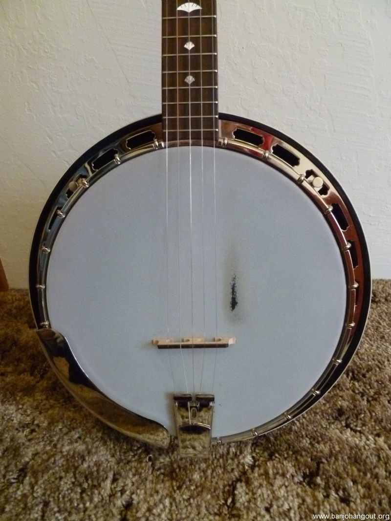 Recording King RK-R25 Madison 5-String Banjo - Used Banjo For Sale at ...