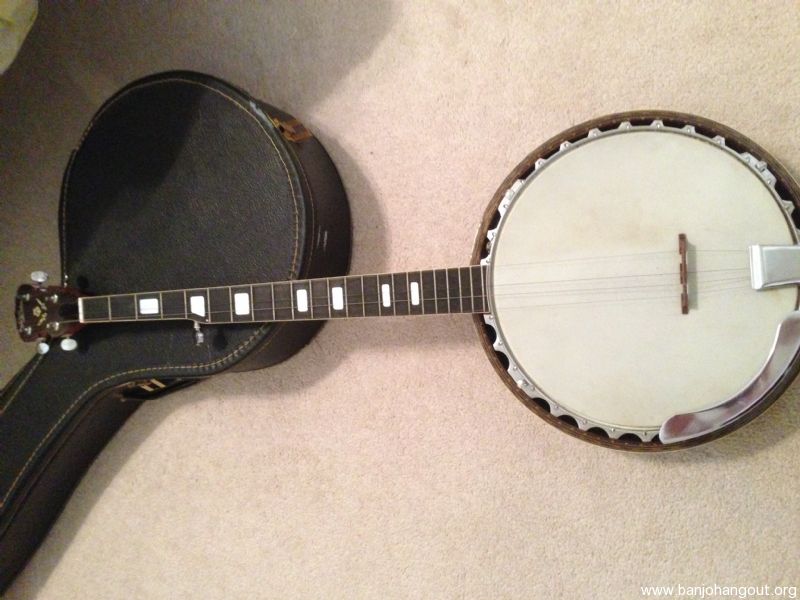Aria banjo identification - welovebda