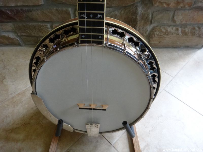 Stelling Master Cross - Used Banjo For Sale at BanjoBuyer.com