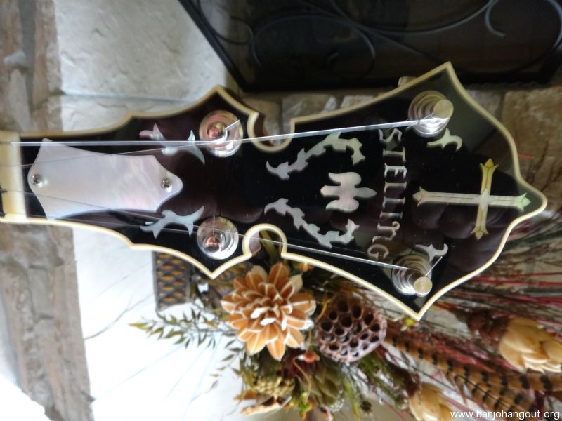 Stelling Master Cross - Used Banjo For Sale at BanjoBuyer.com