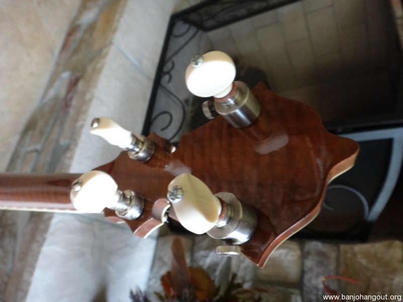 Stelling Master Cross - Used Banjo For Sale at BanjoBuyer.com