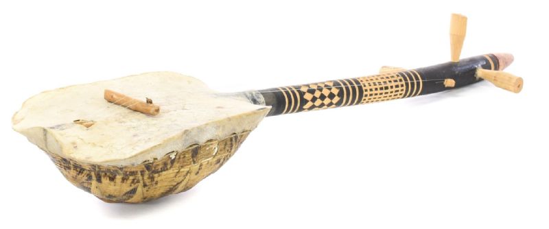 Can one make a banjo from an Alligator Turtle shell? - Discussion ...