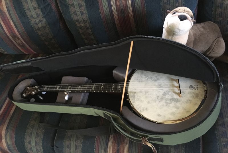 Air travel with a banjo - Discussion Forums - Banjo Hangout